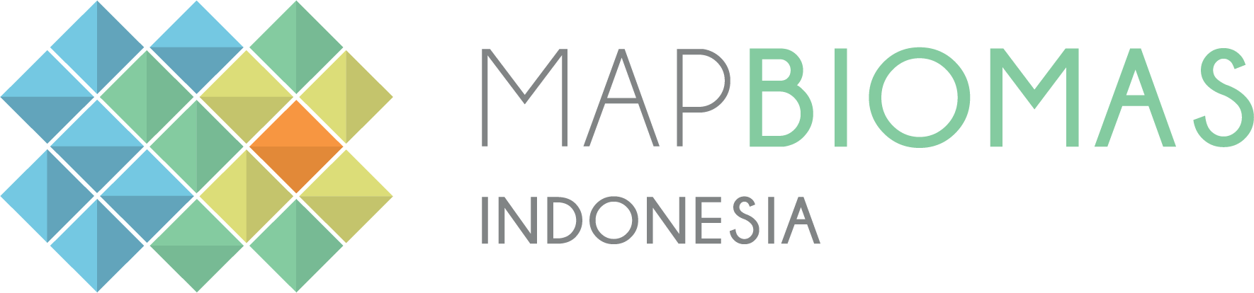 MapBiomas Indonesia